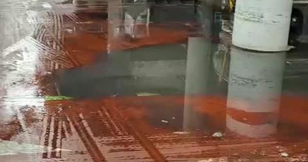 Ellexxaurus fansly leaks spoke to the provider and she