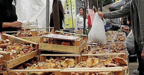 Best local produce on display in Inca