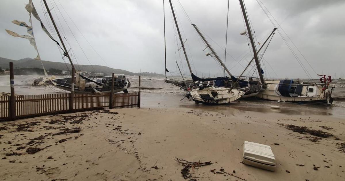 The week of the storm in Mallorca