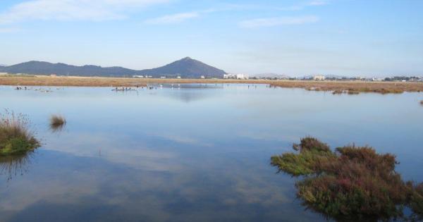 Birdwatching and wildlife in Mallorca