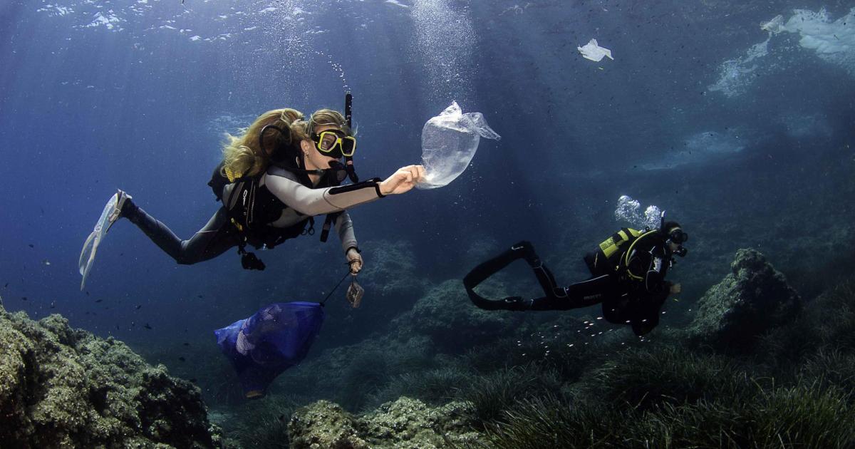 Mediterranean marine regeneration for a clean & healthy sea