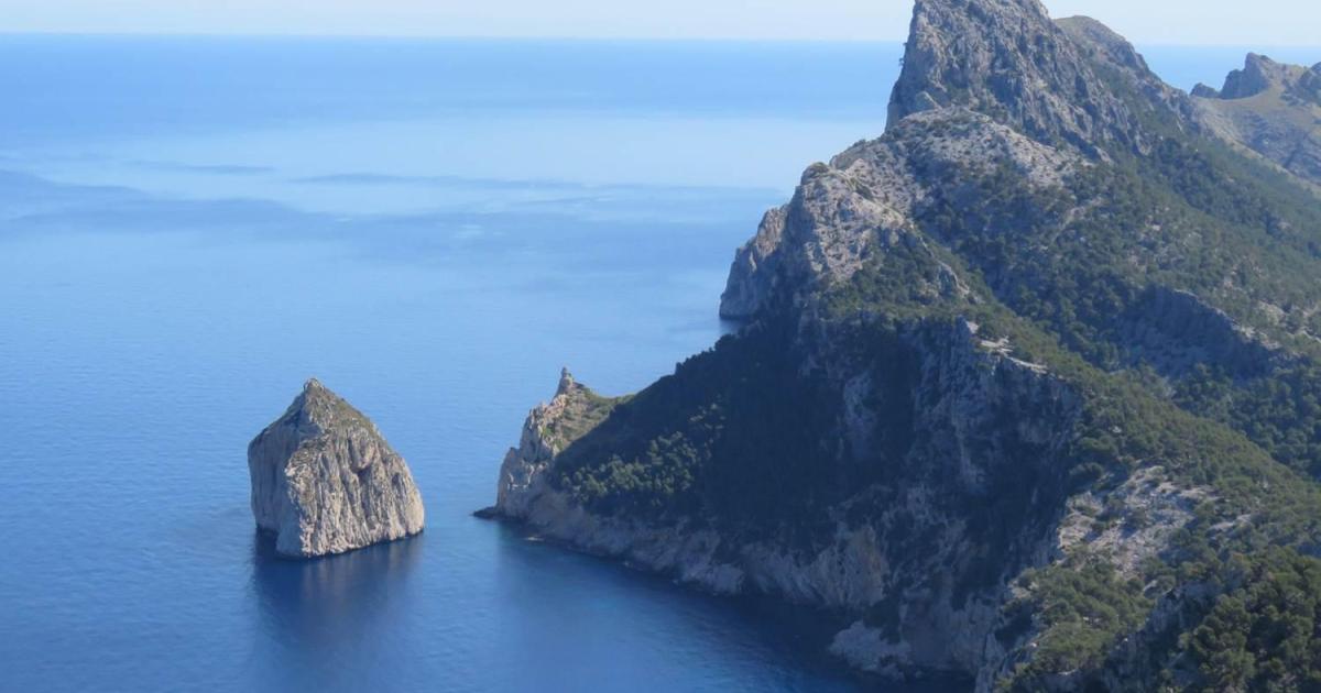 Birdwatchiing and wildlife in Mallorca