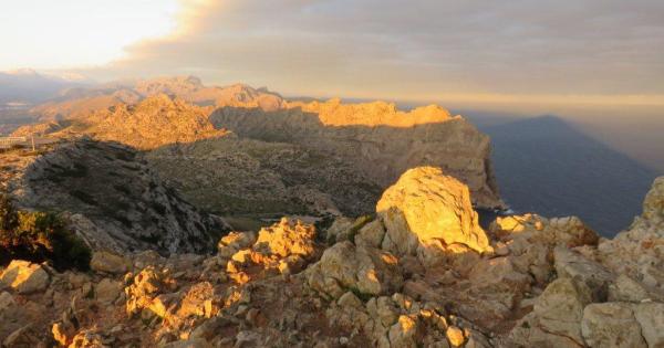 Birdwatchiing and wildlife in Mallorca