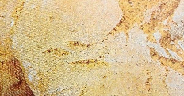 Words and more in Majorca