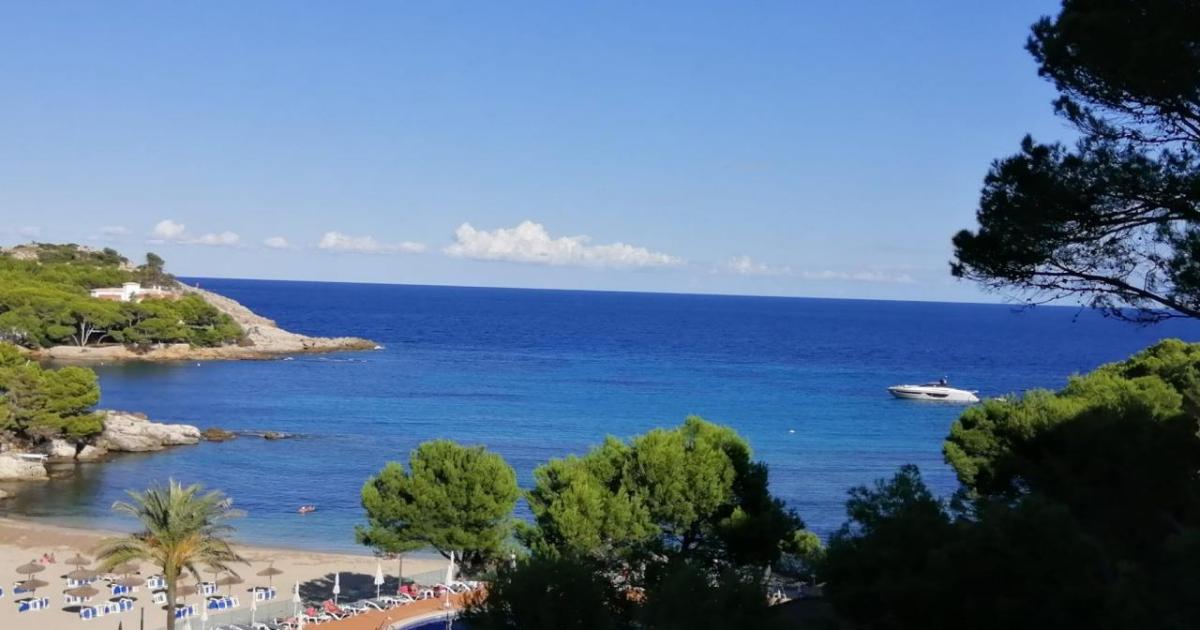 Mallorca Weather Forecast for February 19