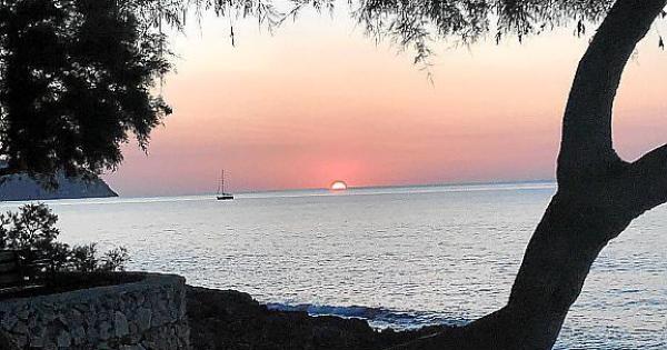 Majorca weather Monday 31 January