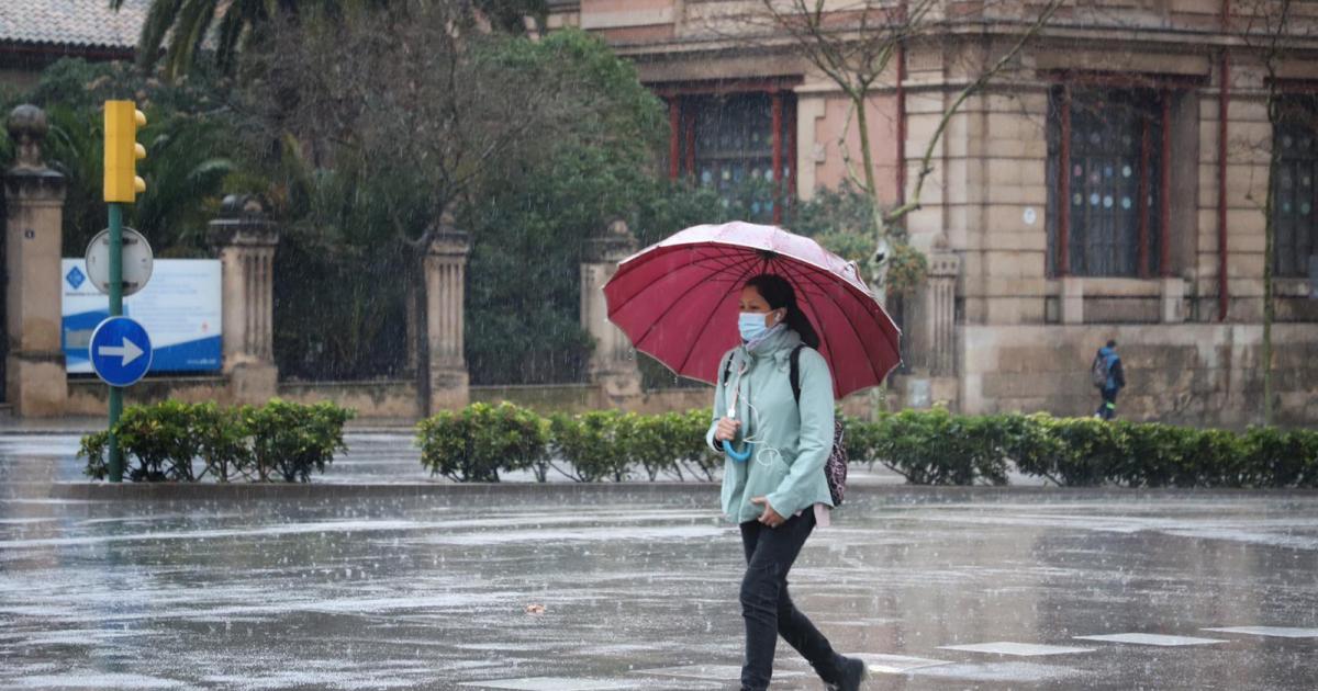 Mallorca weather: Rainfall since October has been above average