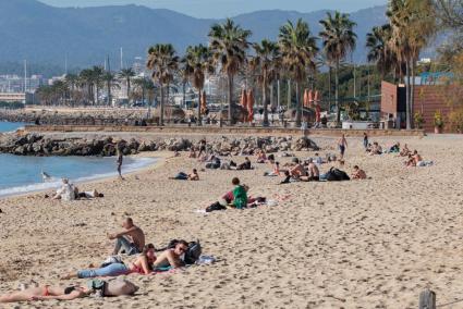 Mallorca weather: Beach weather in January