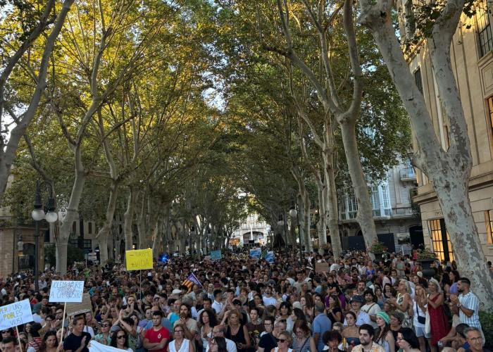 Majorca Daily Bulletin: Latest News in Mallorca - Life & Style, Sports ...