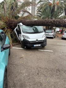 Palma and Calvia hit hard as powerful storm sweeps across Mallorca