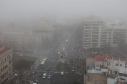 Dense fog blankets Palma as yellow warning covers much of Mallorca