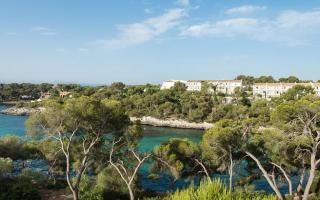 Majorca Daily Bulletin: Latest News in Mallorca - Life & Style, Sports ...