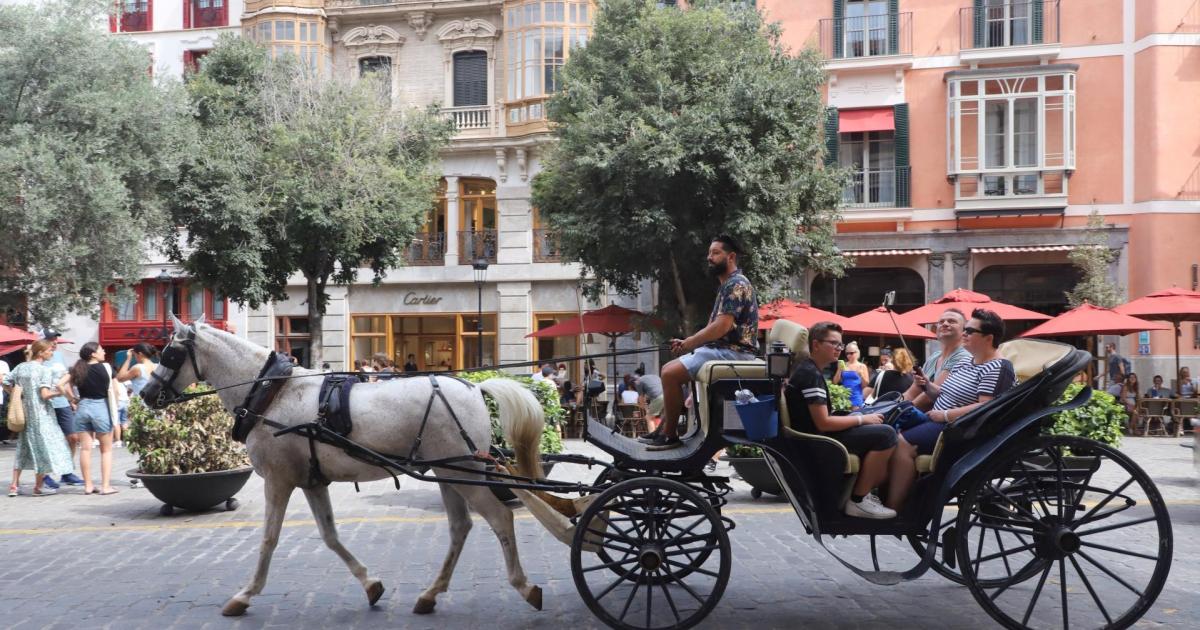 Mallorca animal welfare: Palma for electric carriage pilot scheme
