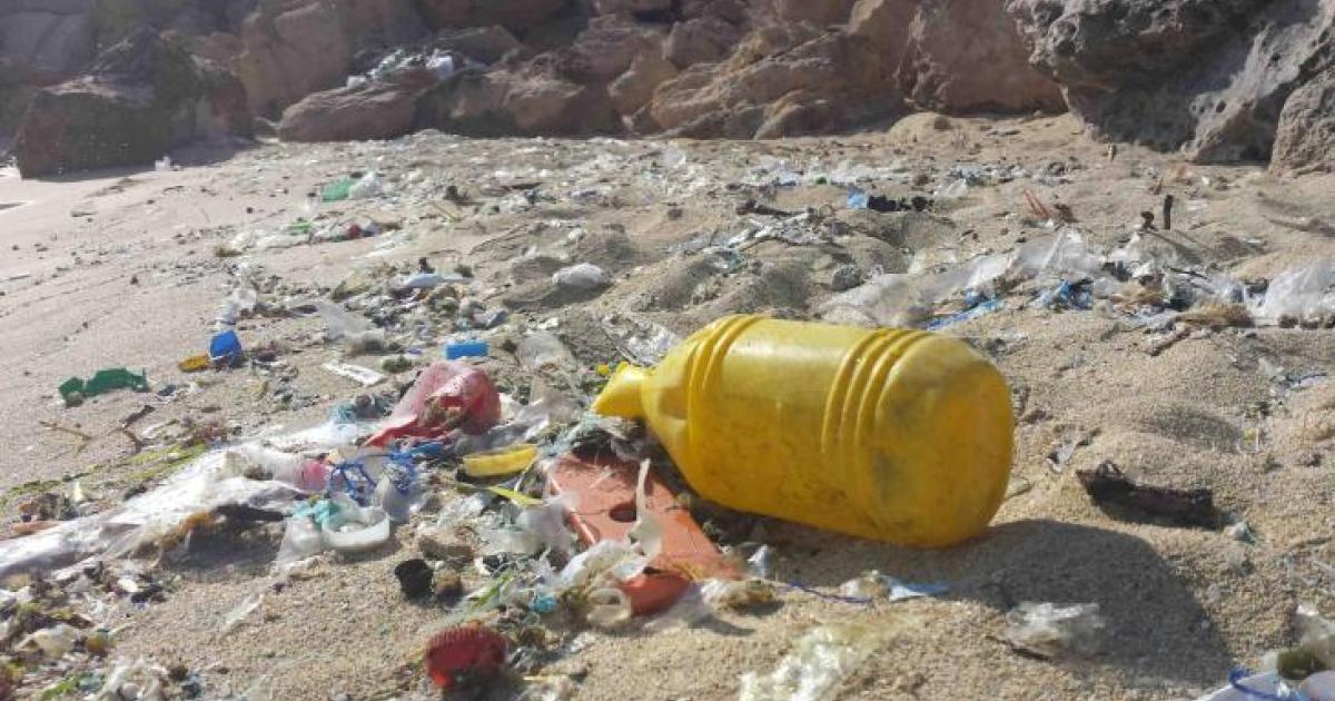 Mallorca environment: 70% of macroplastics in the sea are from Algeria