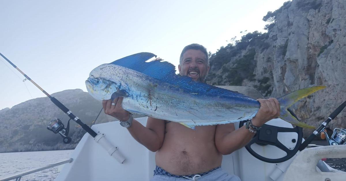 Monster fish caught in Mallorca