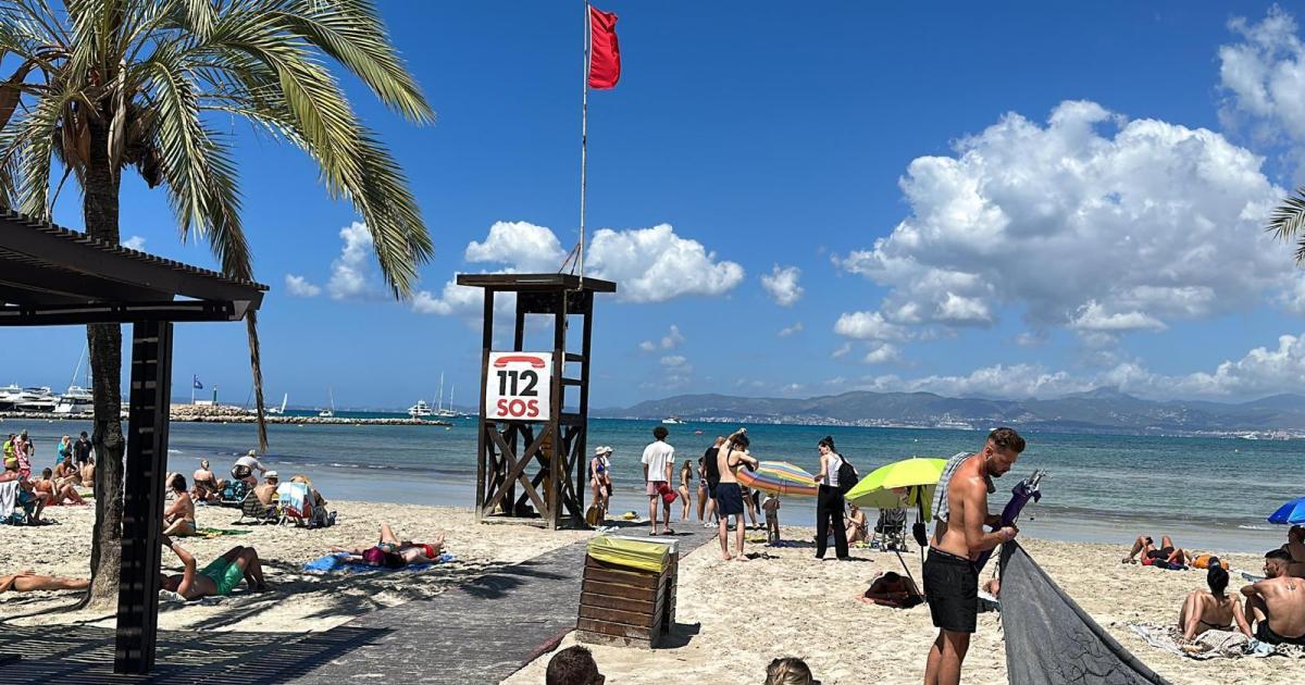 Mallorca beaches: Arenal red-flagged because of contamination