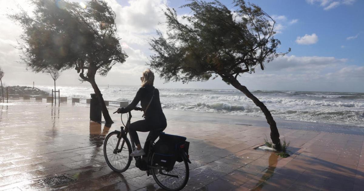 Mallorca weather: Cold snap a gale force winds to hit Mallorca this ...