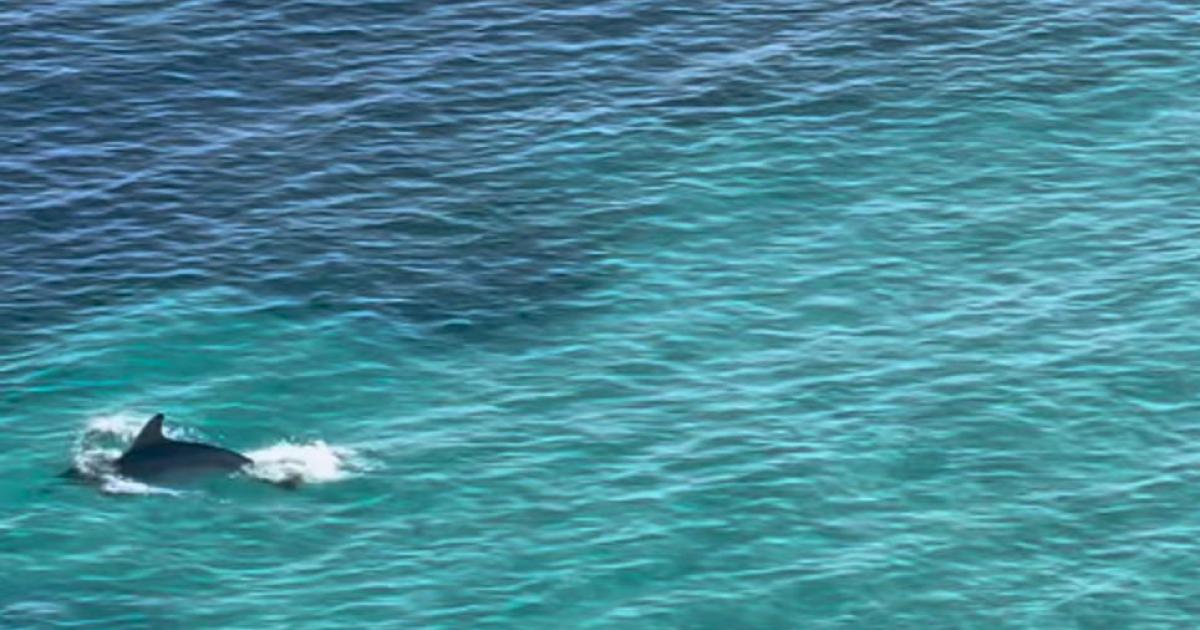 Glorious weather weekend