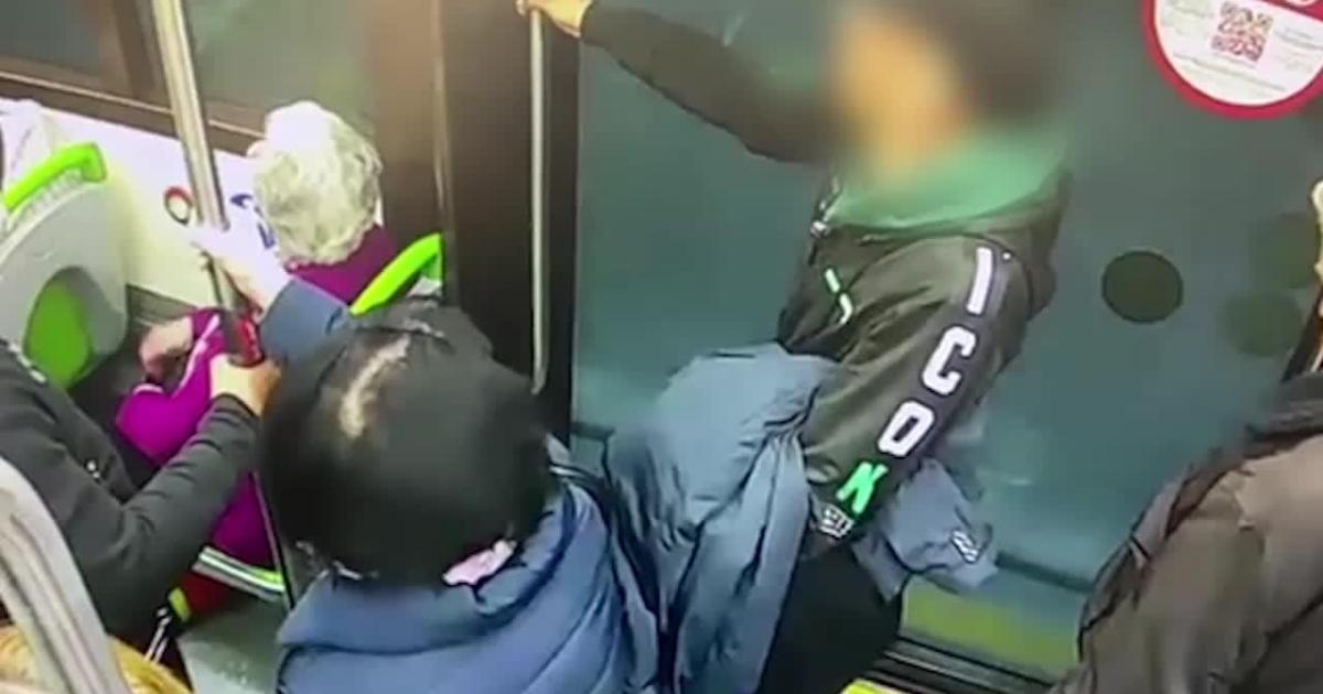 Mallorca police: Arrest of "the best thieves in the world"