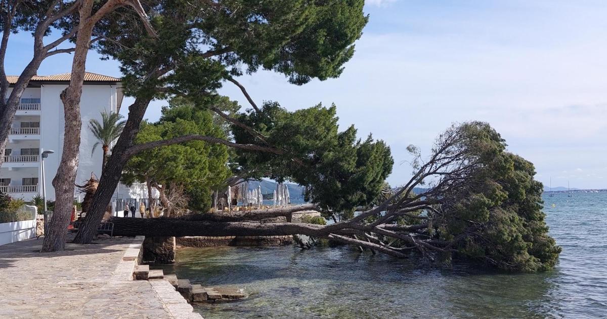 Mallorca bad weather