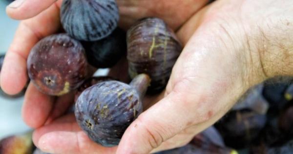Marc Fosh: Mallorca's fresh figs
