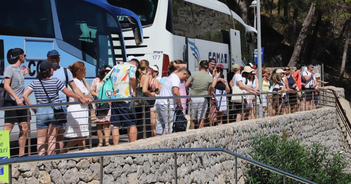 Mallorca transport: More coaches and they're getting smaller