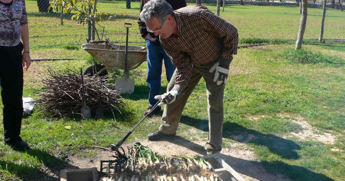 Mallorca’s calçot season: A rustic feast of fire-grilled onions and ...