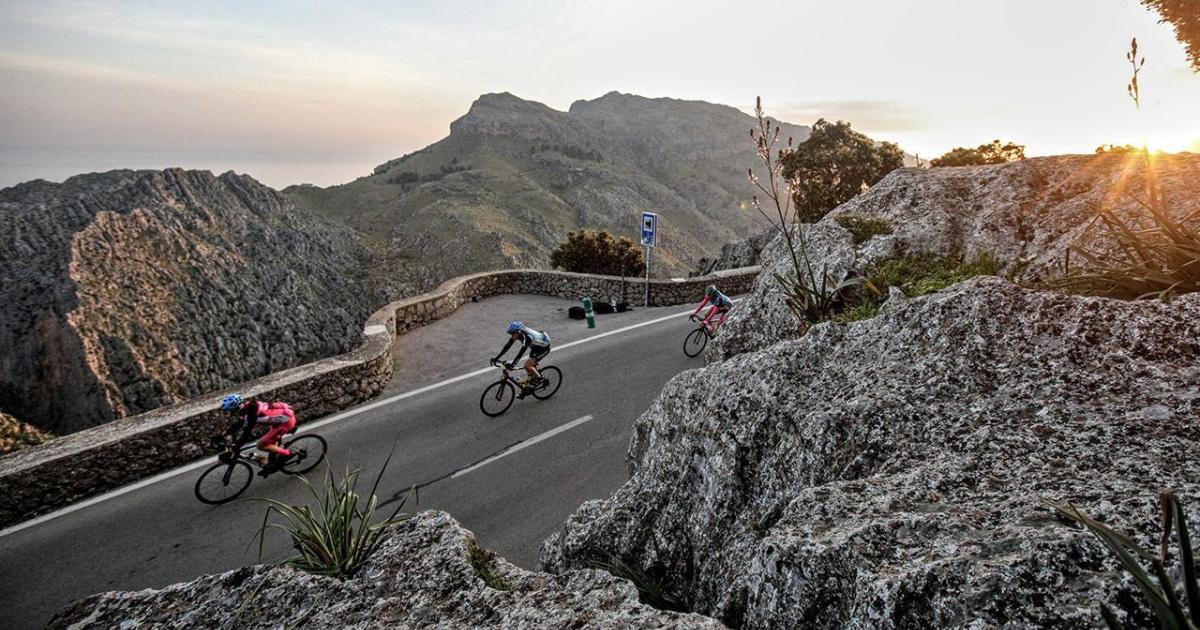 Mallorca cycling: Record number for this year's Mallorca 312