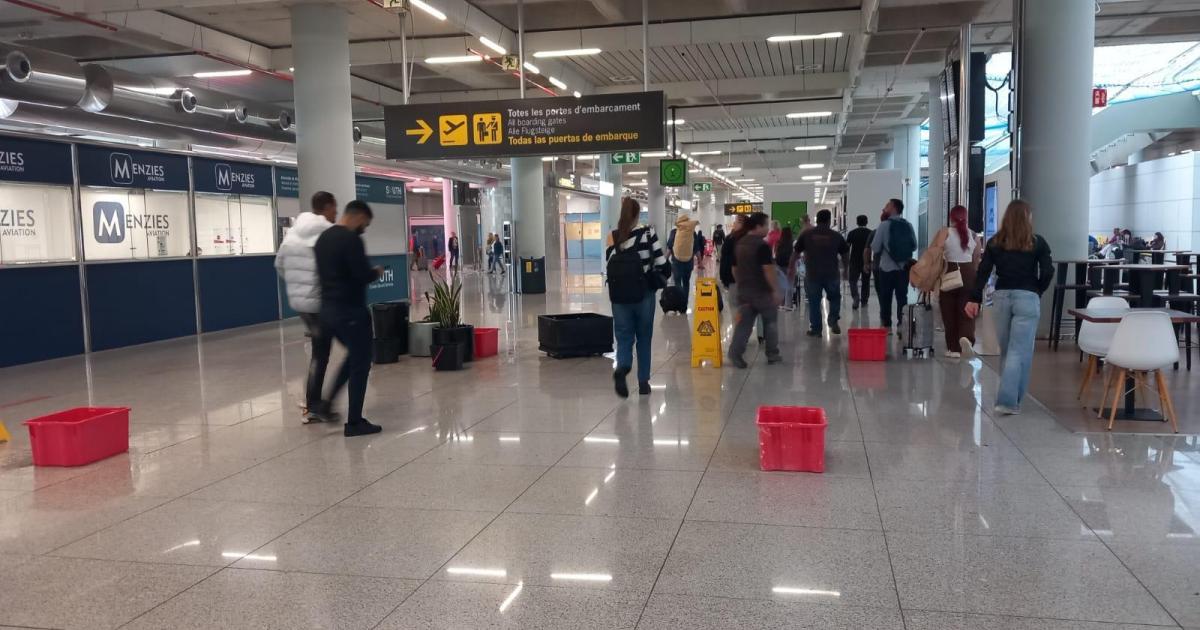 Mallorca flight weather: Palma airport springs a leak: Buckets out ...