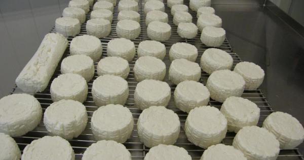 Mallorca flight travel: Don’t get caught smuggling Mallorca cheese into ...