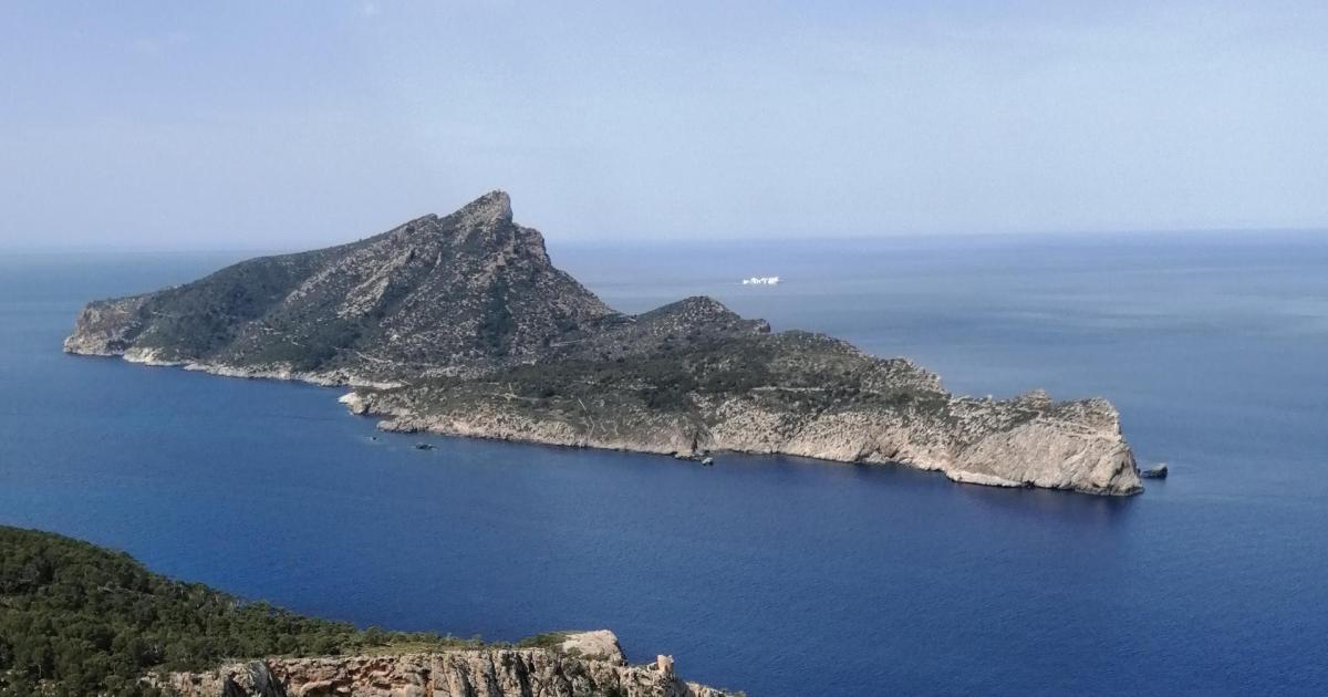 Mallorca snakes: Balearics island wages war on horseshoe snake: Oxford ...