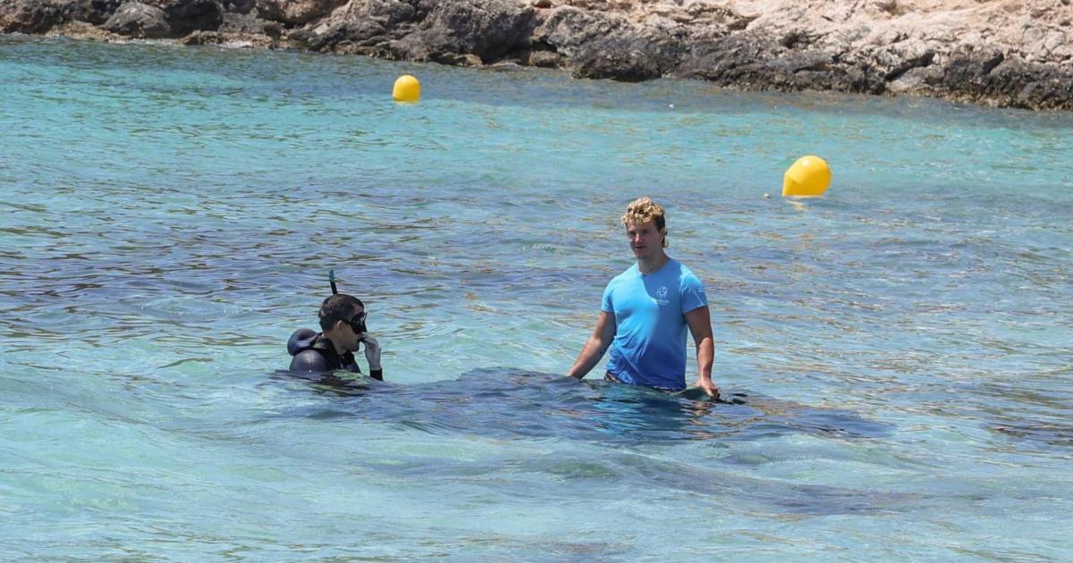 Mallorca marine life: The manta ray off Illetes beach has died
