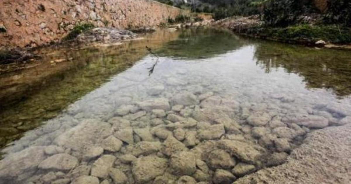 Water crisis: Mallorca on drought alert after driest June since 1961