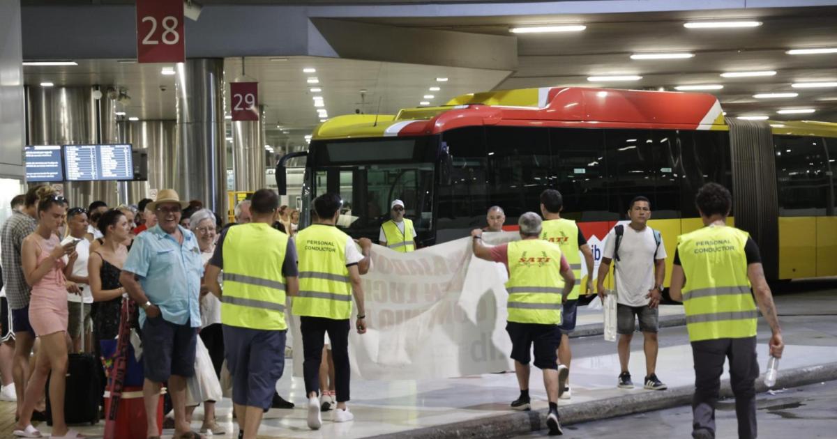 Call for calm as Mallorca bus drivers resume strike action