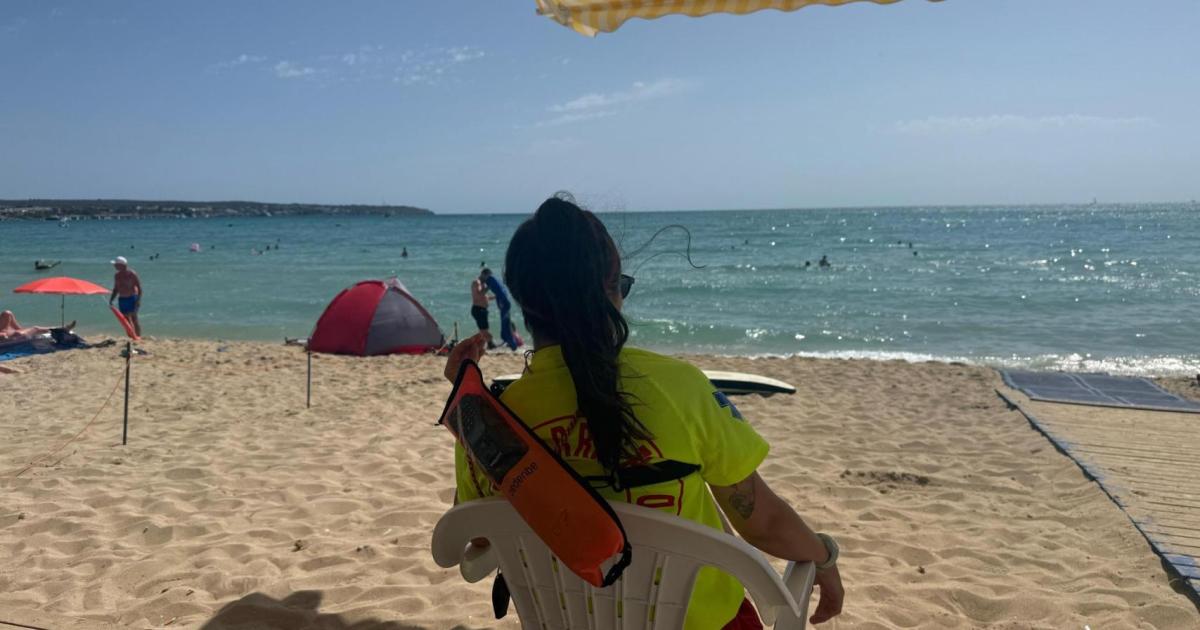 Fish attack in Mallorca shocked lifeguards: "I'd never seen anything like this on this beach ...