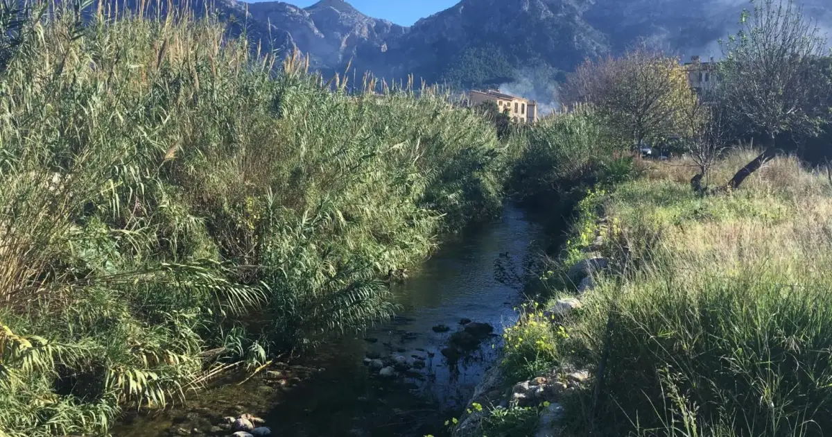 Related news: Soller introduces water restrictions for the first time ...