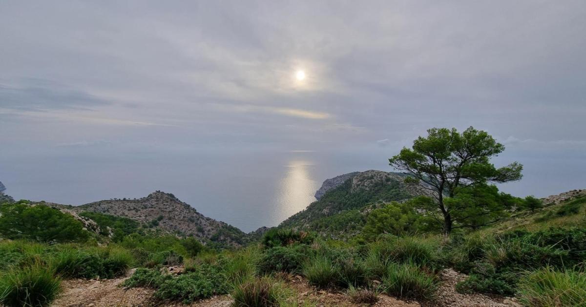 Mallorca weather for Monday, the first of September - More rain alerts