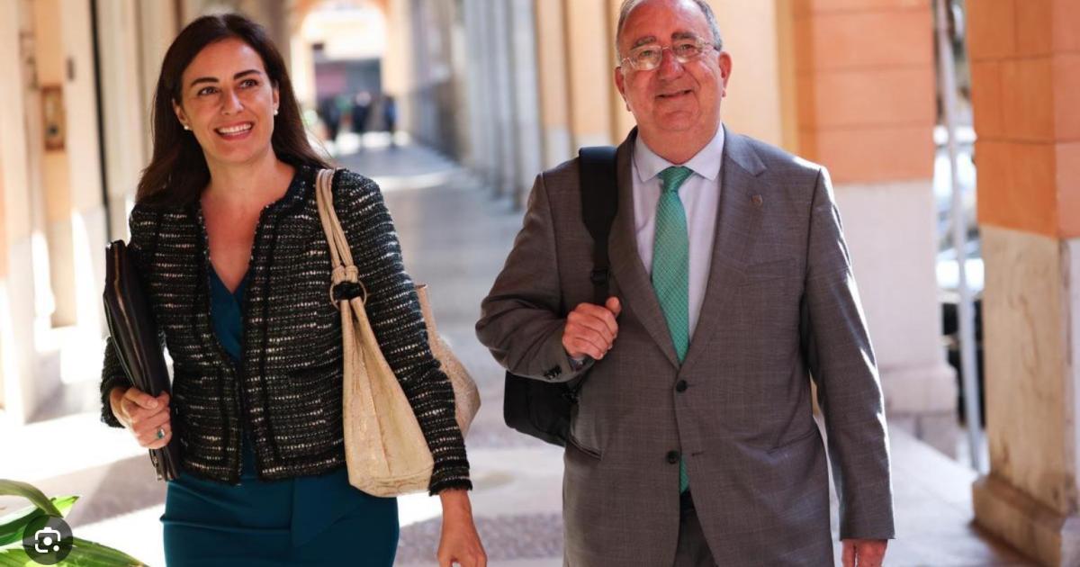 Ex-Vox parliamentary spokesperson in the Balearics accuses the party ...