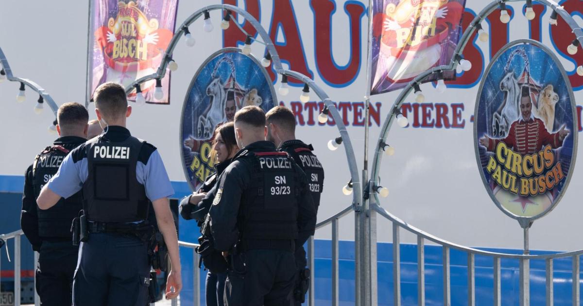 Mallorcan acrobat dies after falling from trapeze in Germany