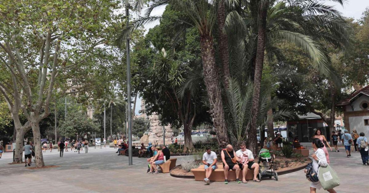 More cameras and artificial intelligence to boost Palma city security