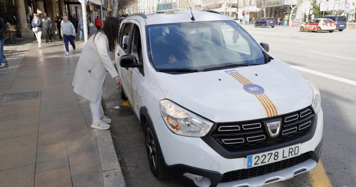 Related news: Palma taxi drivers warn of fake licence scam
