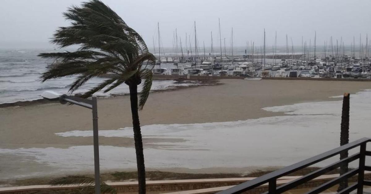 Mallorca weather for Thursday, February 12 - Amber warnings for wind ...