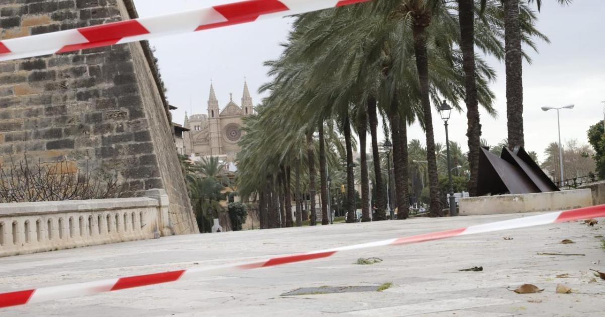 Palma precautions as wind speed in Mallorca on Thursday reaches severe ...