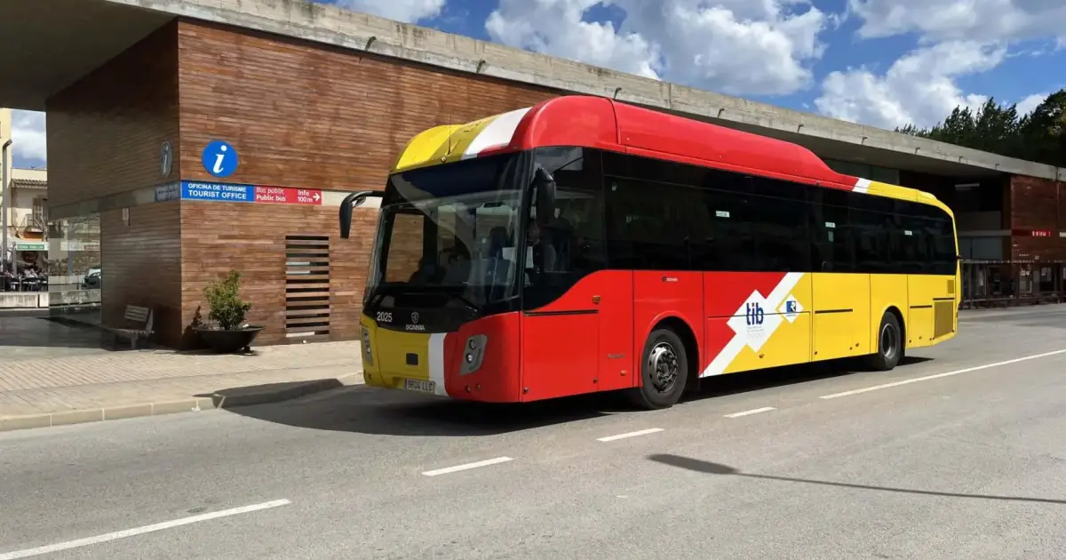 TIB bus service expands with lines reactivated in Alcudia and Santa Ponsa