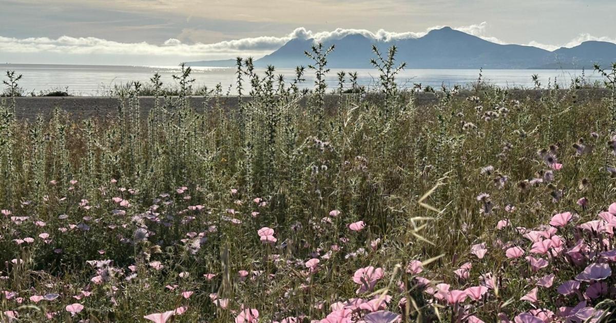 Mallorca weather for Saturday, May 16