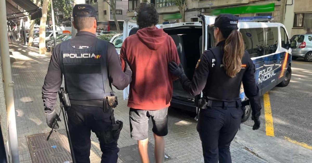 Passenger arrested after airport check-in rampage at Palma airport