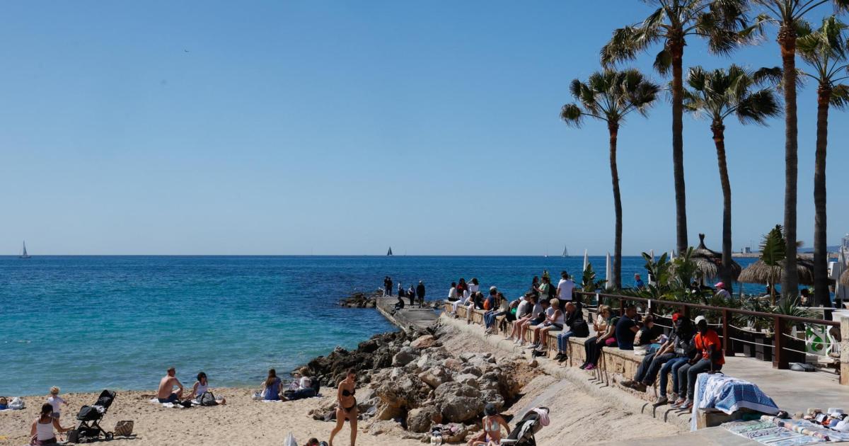 New tsunami warning highlights risk to Mallorca and Spanish coastlines