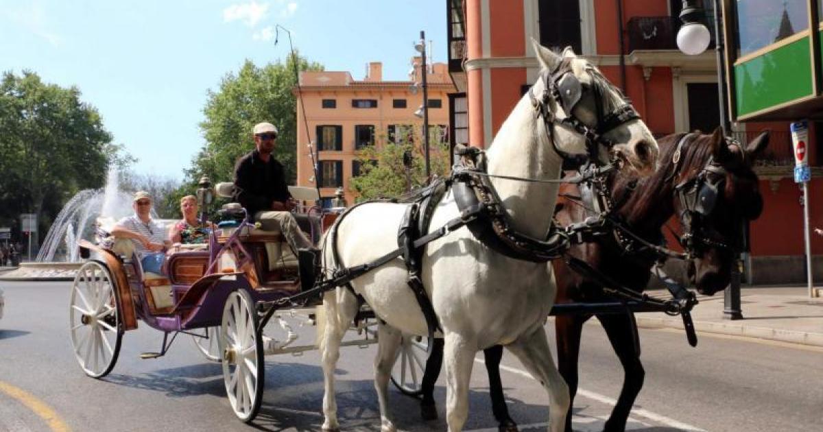Related news: Spain shocker: Balearic High Court overturns the ...