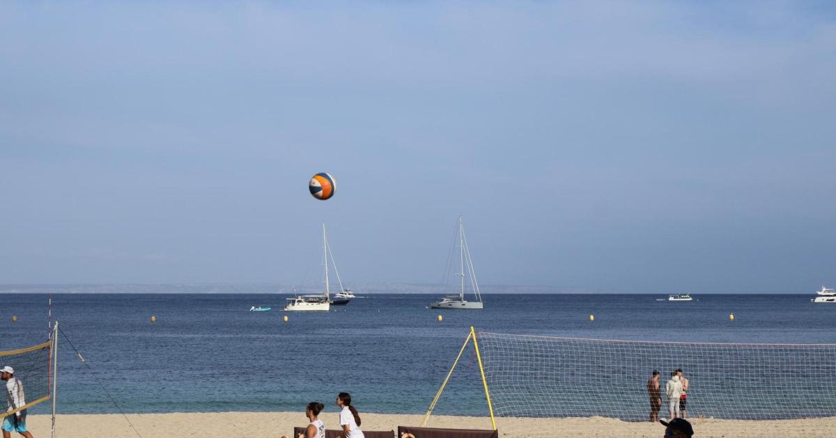 Temperature of the sea off Mallorca increased almost six degrees in a ...