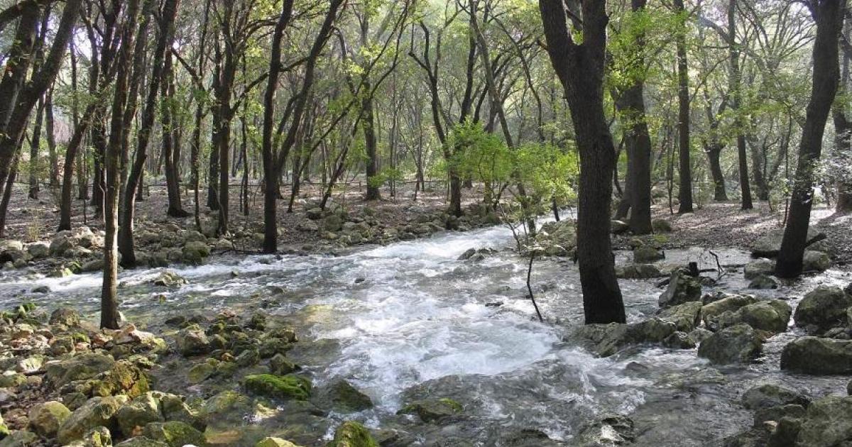 Springs and waterfalls have reappeared on Majorca